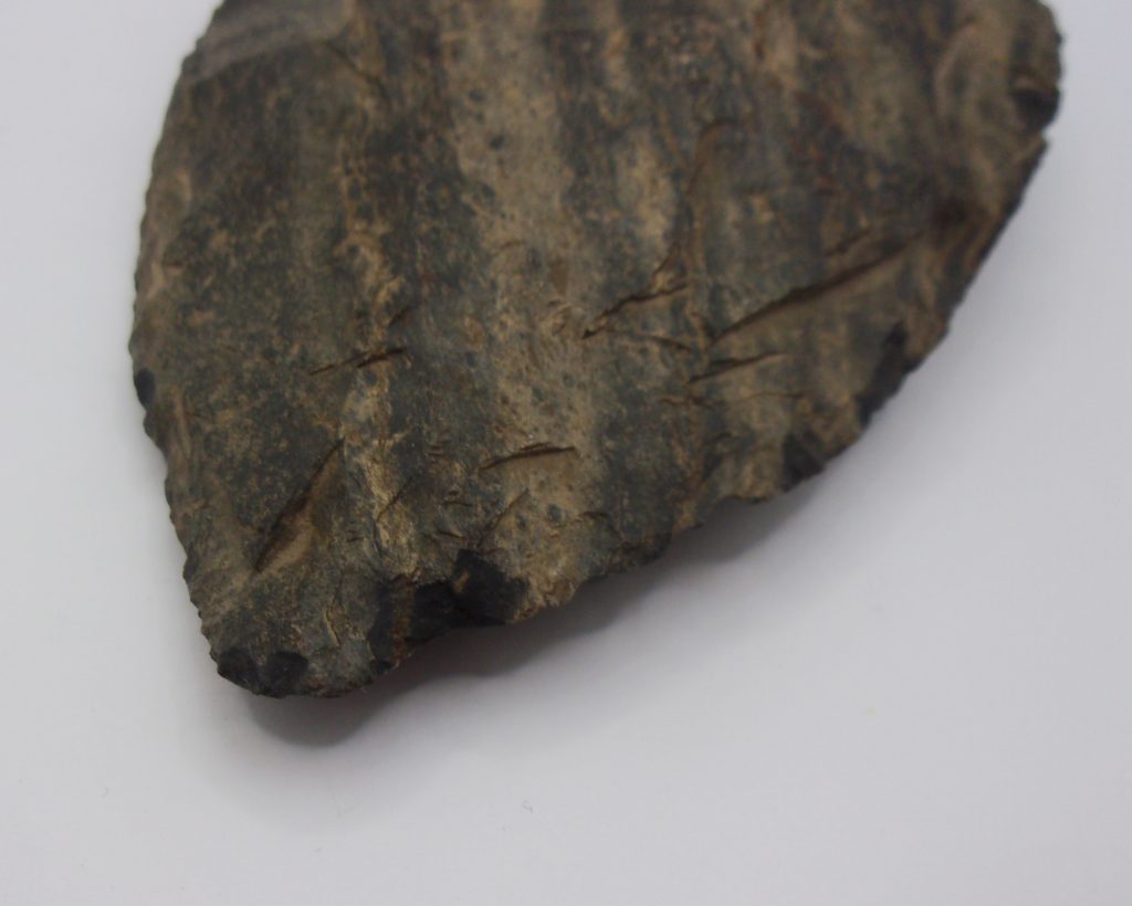 Mesolithic Hand Axe Circa 8000 BC From Brittany France - Sally Antiques