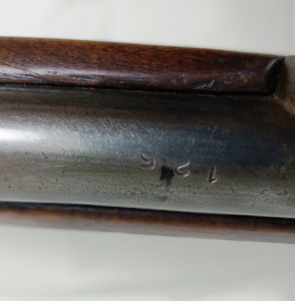 Sporterized Sepoy Three band Percussion Musket. Deactivated - Sally ...