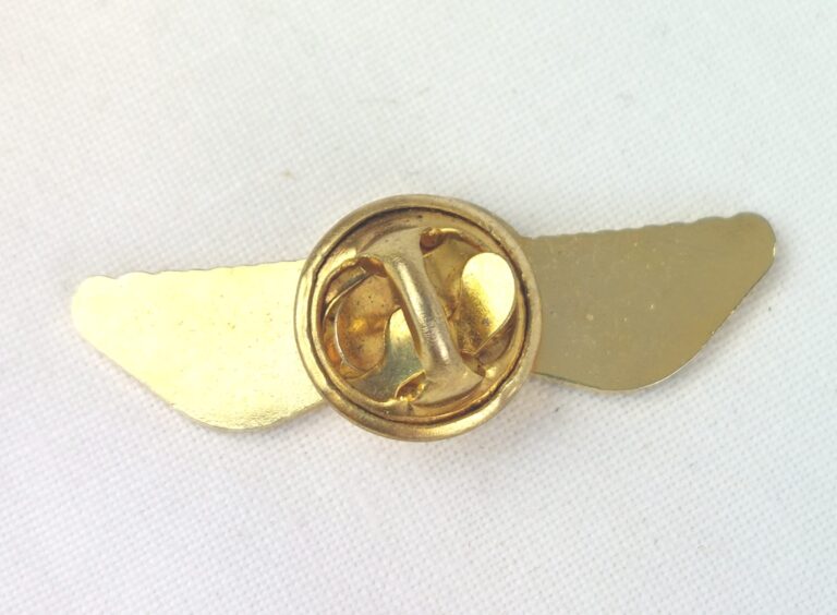 RAF Association Wings Appeal Lapel Stud Badge - Sally Antiques