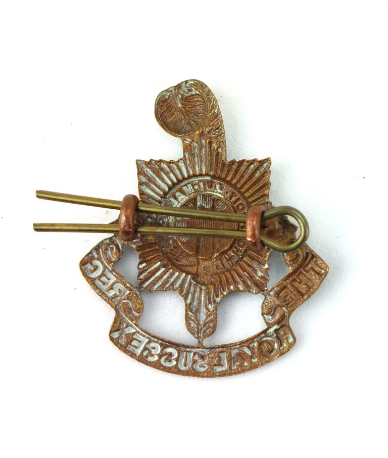 British, WW1, Original The Royal Sussex Reg Cap Badge - Sally Antiques