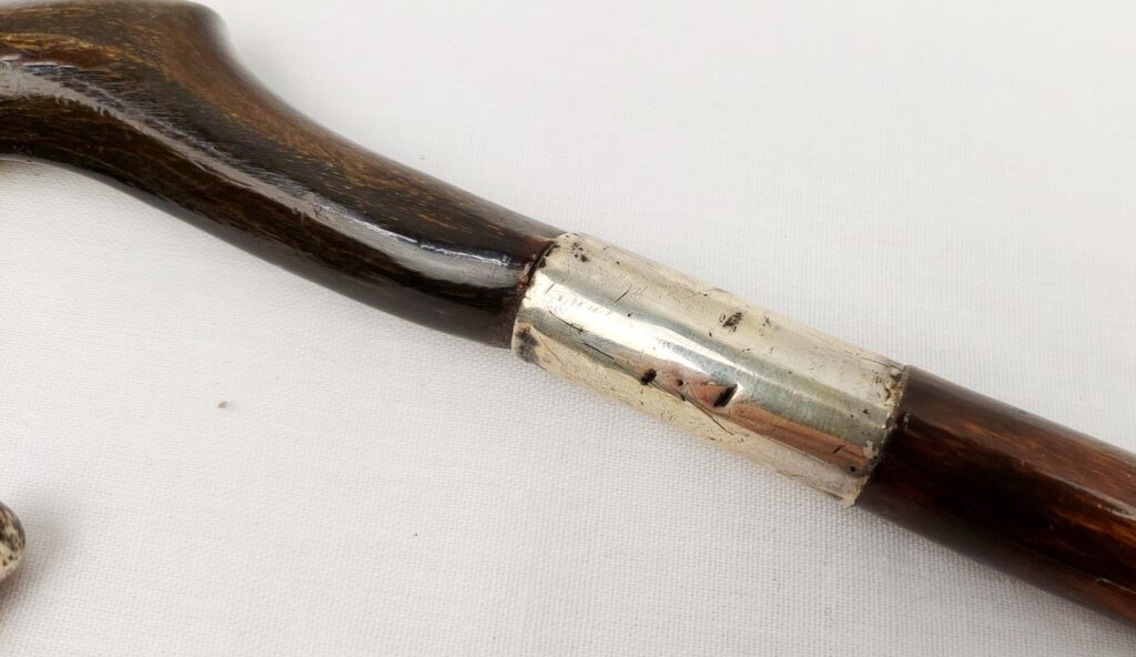 Edwardian Silver Tip And Collar Banboo Walking Cane - Sally Antiques