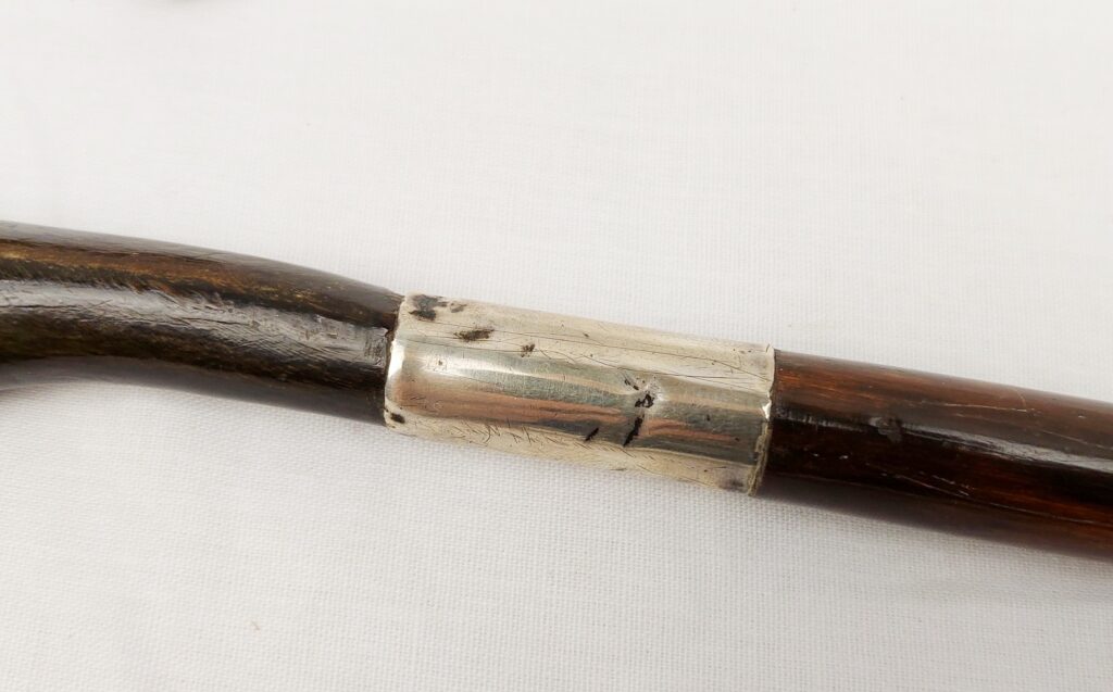 Edwardian Silver Tip And Collar Banboo Walking Cane - Sally Antiques