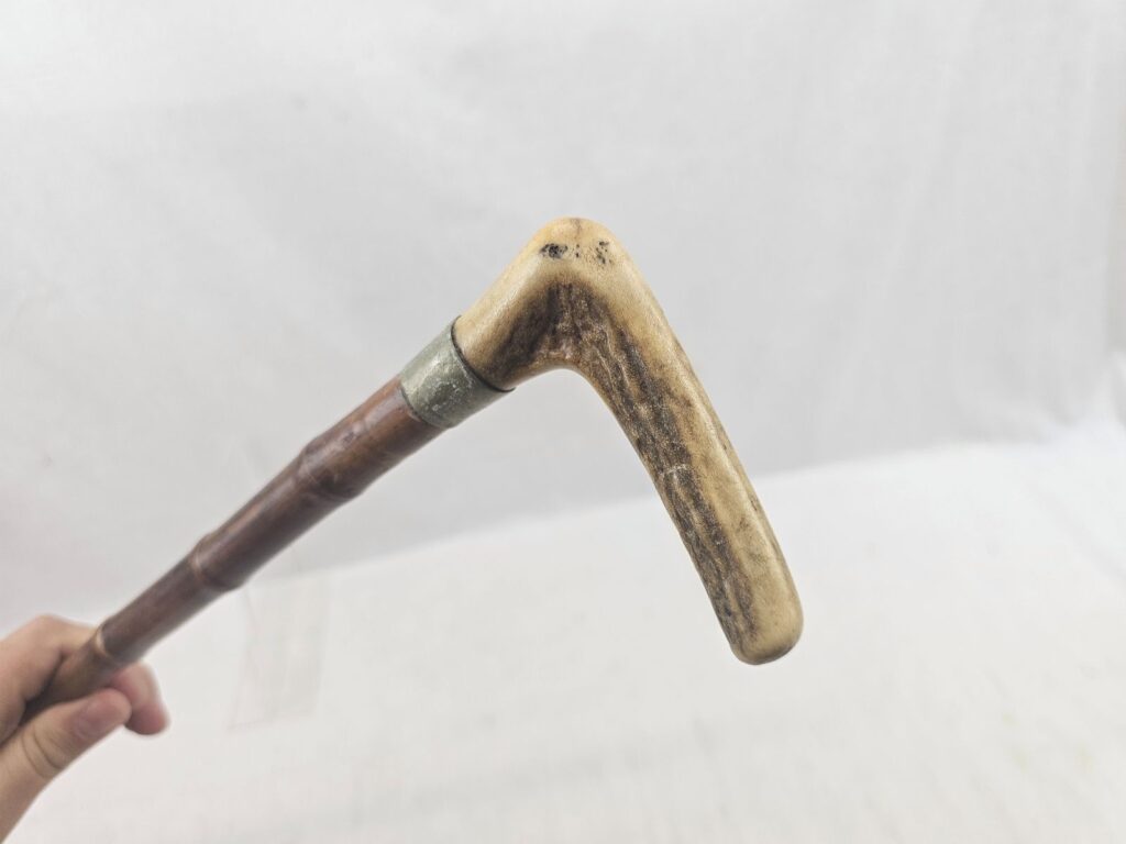 Wooden Walking Cane with Bone Grip - Sally Antiques